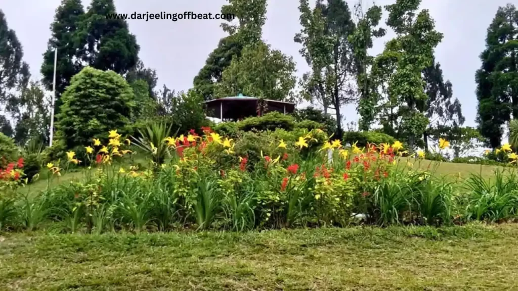 Amazing sunrise from Delo Hill । Deolo Tourist Lodge